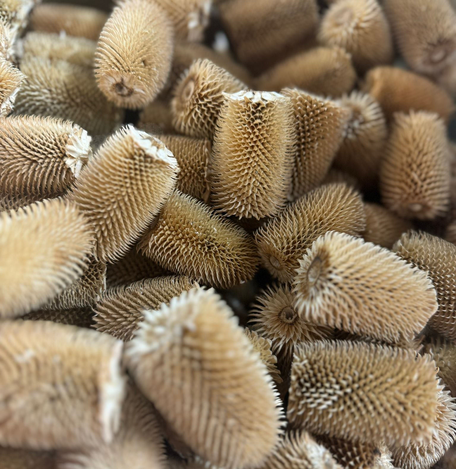 Brushing Level Guide – Bosie Knitwear